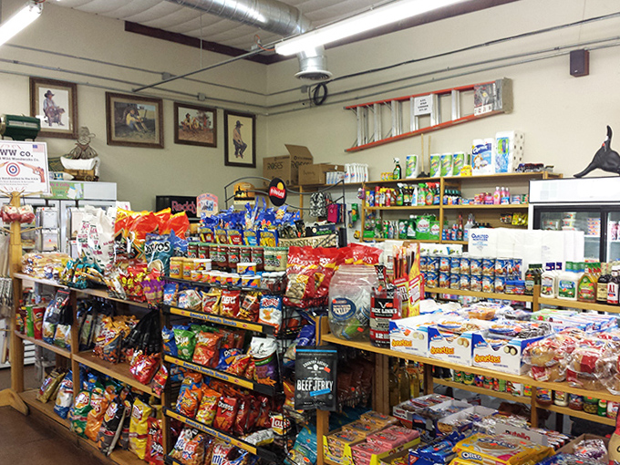 Colorful temptation lines every shelf in the snack aisle, a kaleidoscope of chips, candies, and treats that would make any road trip instantly better.