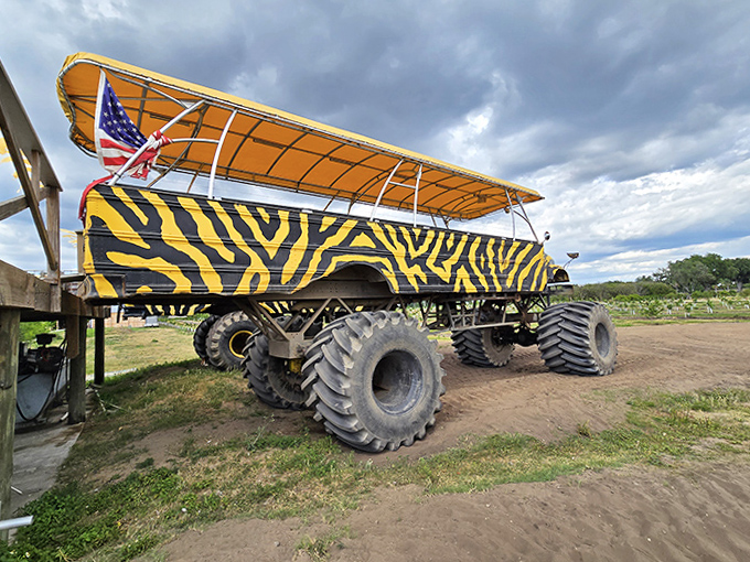 The zebra-striped safari monster truck rumbles along the lakeside trail &ndash; part school bus, part mechanical beast, all adventure.