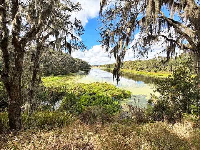 Mirror, mirror on the pond &ndash; Florida's skies reflect perfectly in Balm Boyette's tranquil waters, doubling the beauty for lucky visitors.