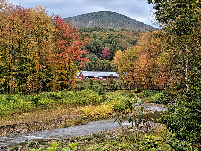 Thompson Park's tranquil beauty captures Vermont's essence &ndash; where rushing waters meet fiery fall foliage in nature's perfect harmony.