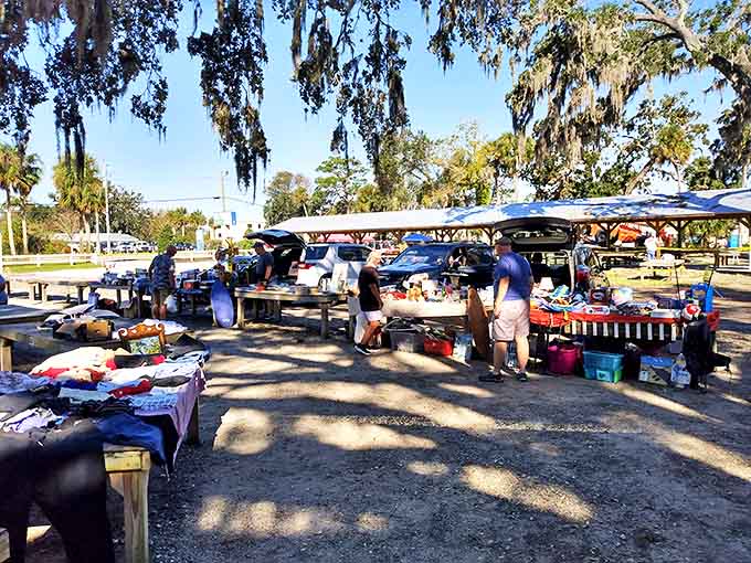 Early birds catch the deals! Shoppers browse under Spanish moss-draped oaks, where conversations flow as freely as the Florida sunshine.