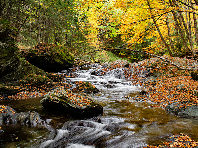 Autumn's golden touch transforms Mill Trail into a kaleidoscope of color, with gentle cascades providing nature's soundtrack.