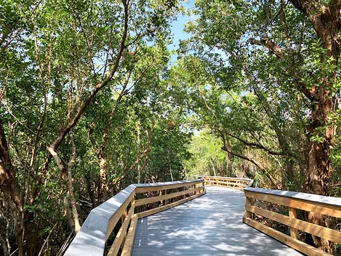 Sunlight plays hide-and-seek through the leafy canopy, creating nature's own light show on this serene wooded bridge walkway.