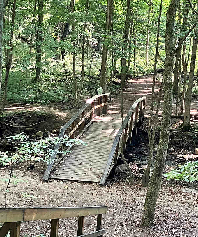 This charming wooden footbridge invites explorers deeper into Honey Run's forested realm, like a gateway to a more peaceful dimension.