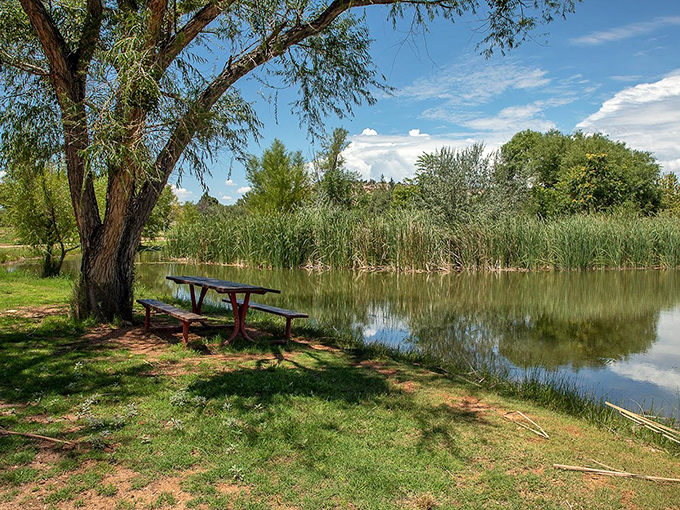 A peaceful wooden bench invites contemplation beside still waters, where nature's reflection doubles the visual feast of fall colors.
