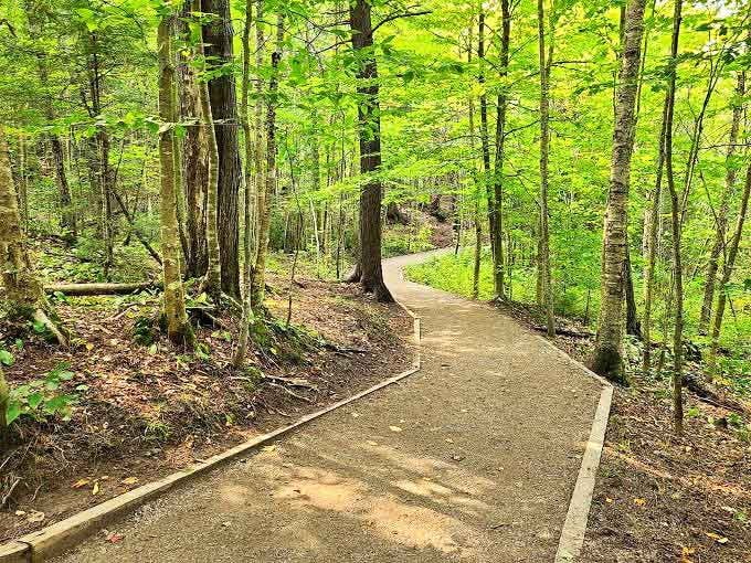 The well-maintained boardwalk invites visitors of all abilities to experience Michigan's wilderness without sacrificing accessibility or comfort.