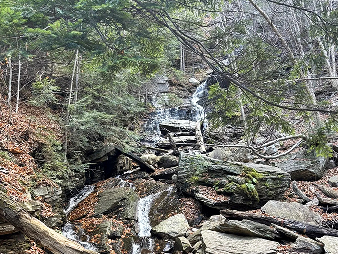 Winter reveals the falls' skeletal beauty&mdash;like seeing a Broadway set without the costumes, still magnificent in its raw, unadorned state.
