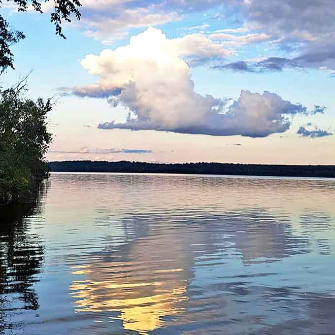 Fletcher's Floodwaters creates a mirror-like reflection of dramatic cloud formations, nature's own IMAX show without the ticket price.