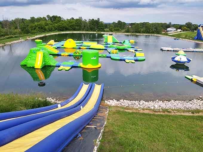 The floating obstacle course: where dignity goes to die and unplanned swimming lessons begin. Guaranteed to humble even the most coordinated family members.
