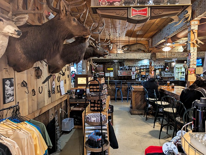 Step inside and you're greeted by a hunter's paradise &ndash; mounted elk heads watch over diners while rustic wood paneling creates the perfect backdrop for Route 66 adventures.