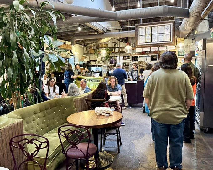 Inside Wild Iris, plants cascade from shelves while customers nestle into green velvet couches &ndash; a coffee lover's secret garden hideaway.