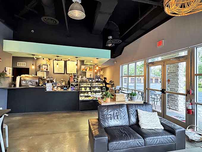 Inside, modern industrial meets cozy comfort with leather couches, concrete floors, and large windows creating the perfect cat-napping atmosphere.