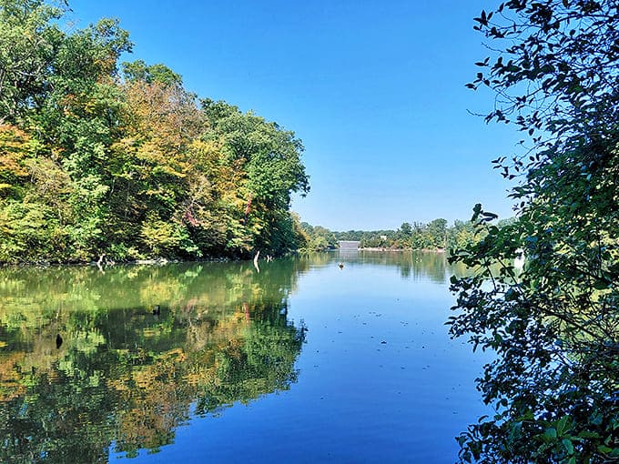 Mirror, mirror on the water &ndash; Caesar Creek Lake creates perfect reflections that double the autumn color show, nature's way of showing off.