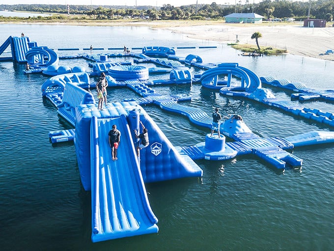 I've got this! they all say, moments before gravity and slippery surfaces team up for nature's comedy show. Pure aquatic joy in action.