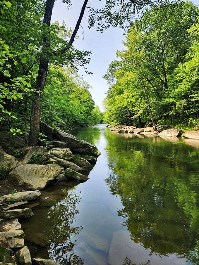 The Kokosing River flows with quiet confidence, reflecting a canopy of green that changes outfits with each passing season.