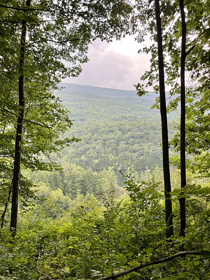Mountains framing a lake like nature's own picture frame, proving that the best art gallery has no admission fee.
