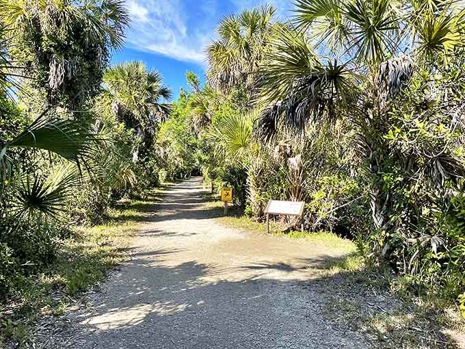 The trail beckons with promises of adventure, where palm fronds create natural archways into Florida's wild heart.