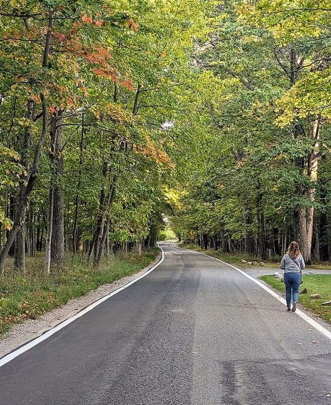 The road less hurried: A gentle curve beckons travelers deeper into the leafy embrace of Michigan's most enchanting byway.