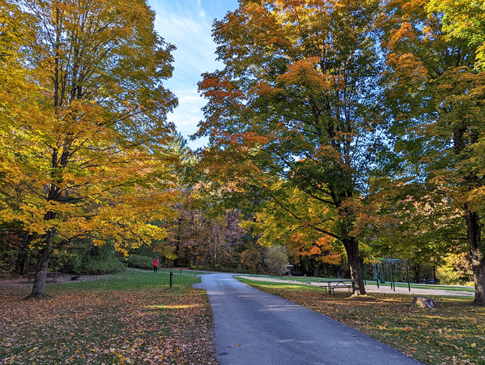 Nature's fall fashion show on full display &ndash; maple trees strutting their stuff in golden finery along this winding path.