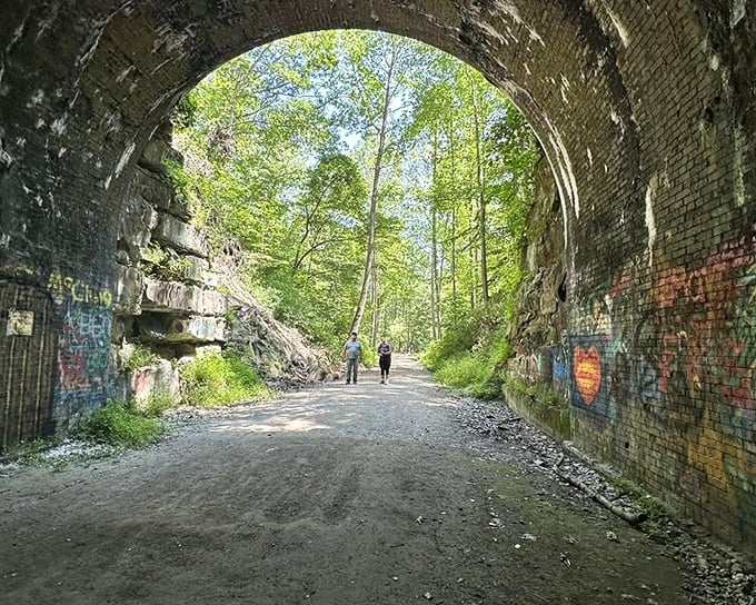 Looking through the tunnel reveals nature's perfect framing &ndash; darkness giving way to a green paradise beyond.