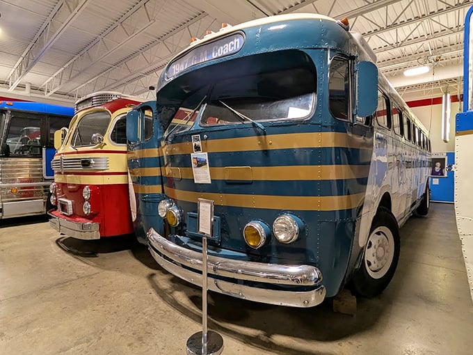 Gleaming chrome and vintage styling make these restored buses more than vehicles &ndash; they're time machines to America's golden age of travel.