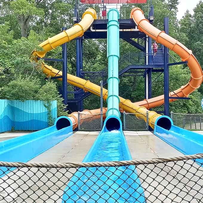 Water slides: Three colorful tubes of terror where gravity becomes your best friend and worst enemy simultaneously.