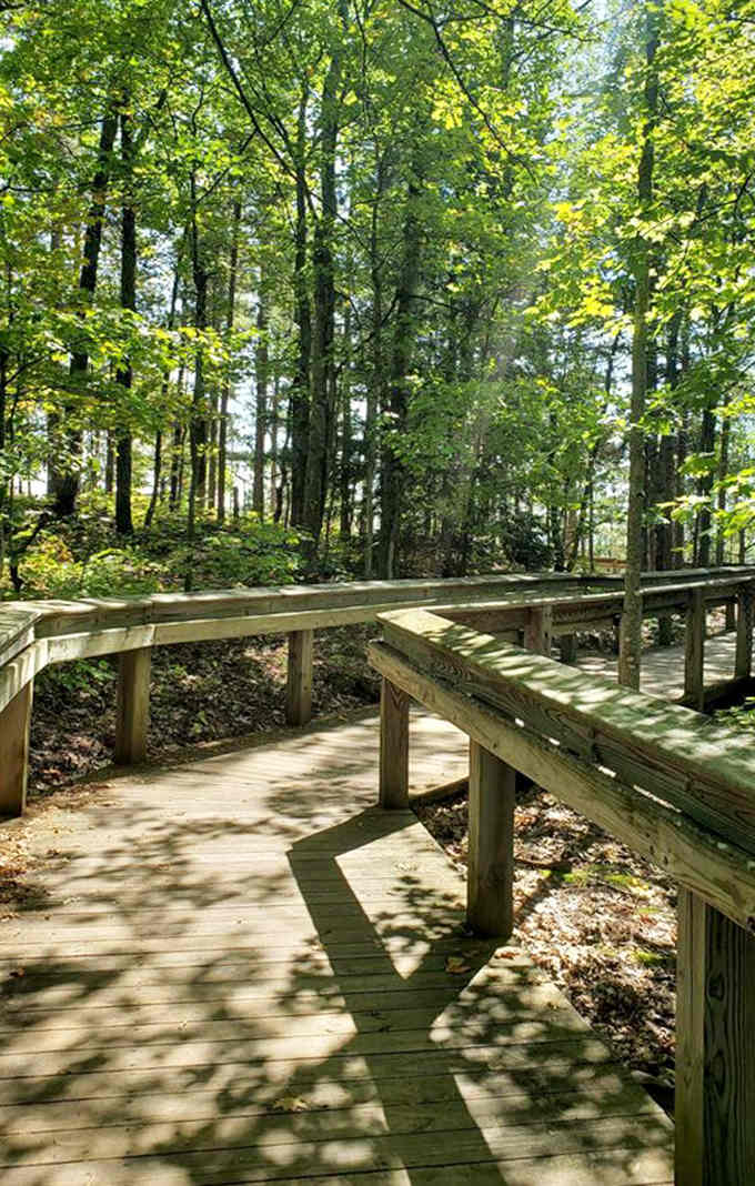 Wooden boardwalks wind through ancient forests, inviting explorers to venture deeper while treading lightly on this pristine wilderness.