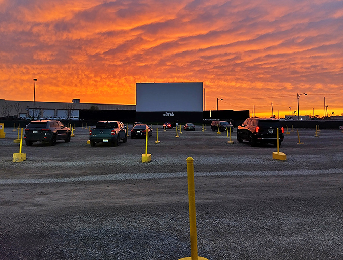 Vehicles arrange themselves in neat rows at Ford Drive-In, with some moviegoers setting up outdoor viewing spots for the perfect experience.