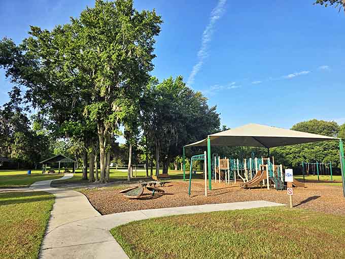 Alligator Lake Park's wooden boardwalk invites visitors to commune with nature without becoming part of the food chain. Florida serenity at its finest!