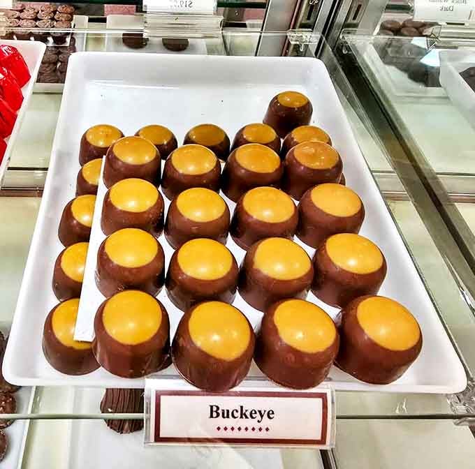 Ohio's favorite treat perfected &ndash; creamy peanut butter embraced by rich chocolate creates these iconic morsels that disappear faster than you can say "Go Bucks!"