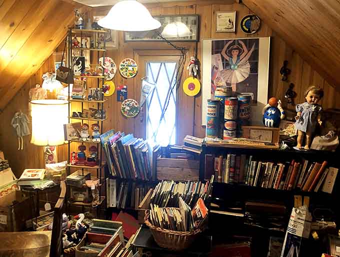 These vintage books aren't just for show, they're portals to different eras when people actually turned pages instead of swiping screens.