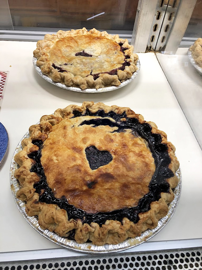 Golden-crusted wild blueberry pies with their signature deep purple filling – the crown jewels of Wild Blueberry Land's offerings.