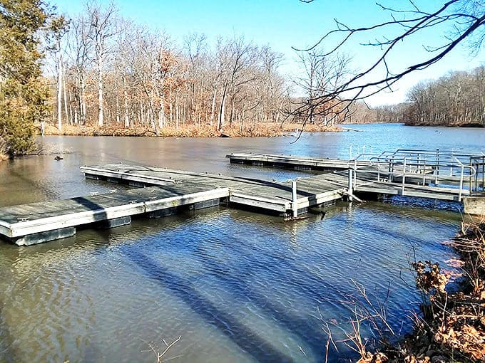 These docks aren't just for boats &ndash; they're front-row seats to nature's greatest show, complete with feathered performers.