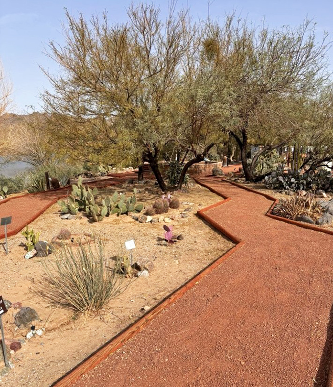 Desert gardens showcase nature's most impressive survivors &ndash; plants that thrive where others would throw in the towel and request immediate evacuation.