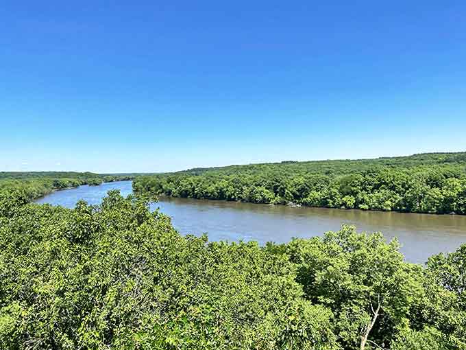 The sweeping vista of the Rock River winding through endless green forest proves that sometimes the best views don't require a plane ticket.
