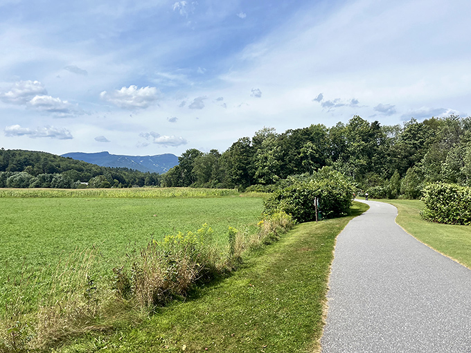 The winding path through Chase Park invites wanderers to lose themselves in Vermont's pastoral splendor, mountains standing sentinel.