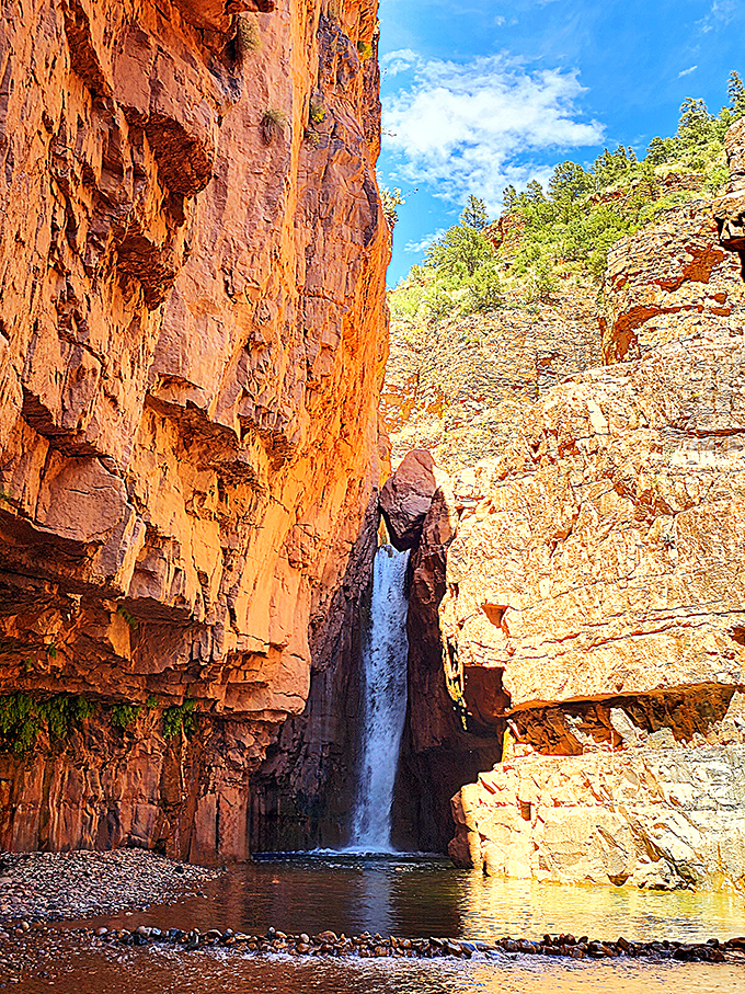 Desert meets oasis: The stark contrast between arid red cliffs and the plunging waterfall creates Arizona's most photogenic natural theater.
