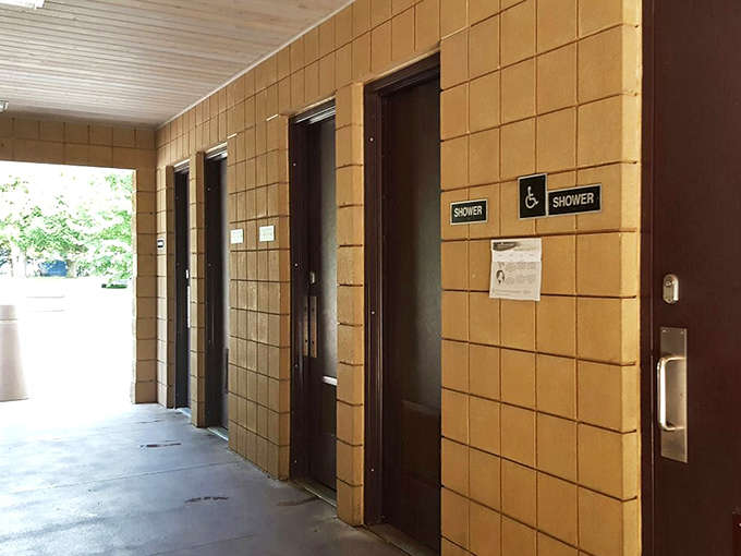 No roughing it here! The park's modern facilities ensure comfort without sacrificing that authentic outdoor experience.