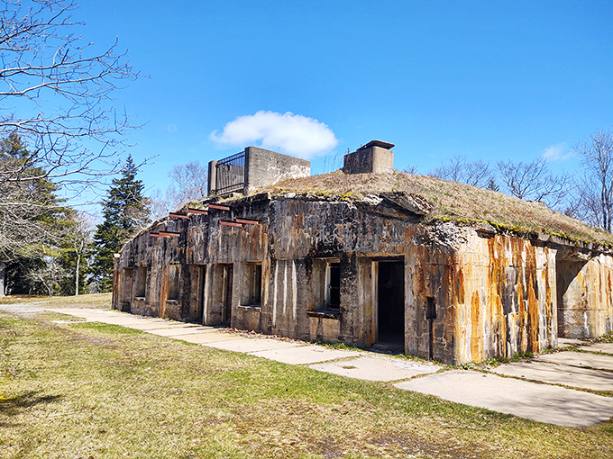 The massive concrete battery, designed to withstand enemy bombardment, now battles only against Maine's relentless seasons and encroaching vegetation.