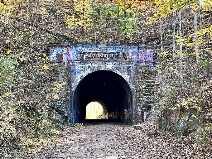 Autumn transforms Moonville Tunnel into a seasonal masterpiece, with golden leaves complementing the weathered brick entrance.