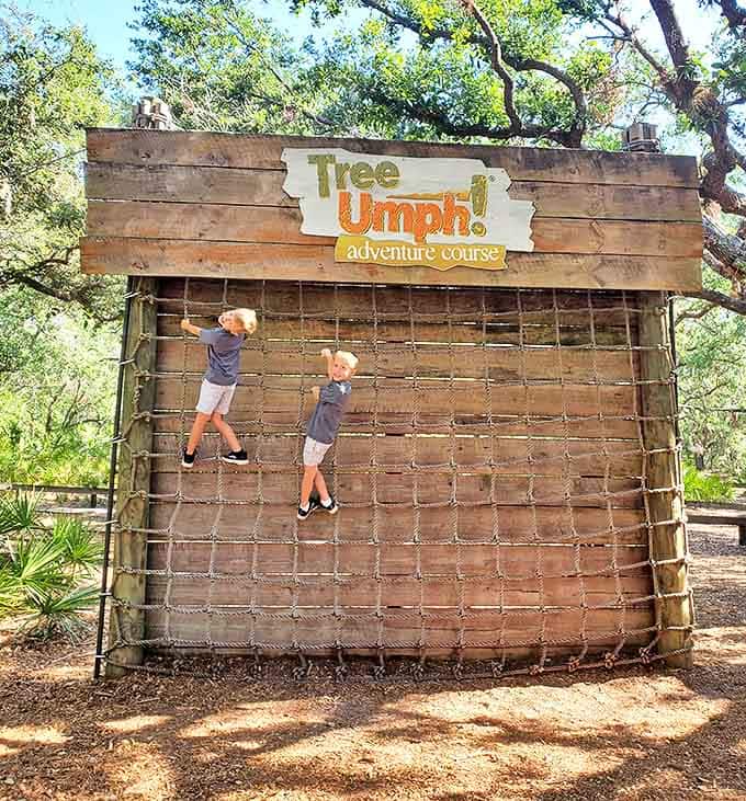 Kids scaling the cargo net with the fearlessness that comes from being closer to the ground and having more bendable bones.