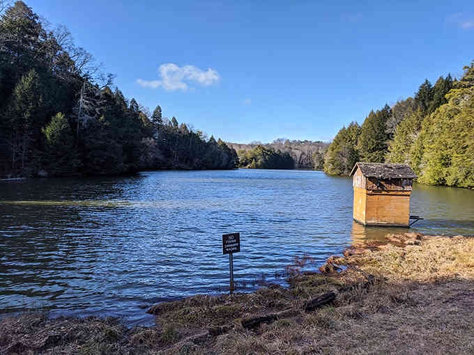 Sunlight dances across Lake Katharine's surface while evergreens stand sentinel along the shore. Nature's tranquility in liquid form.