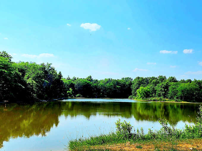 Mirror-like waters reflect the surrounding greenery, creating that rare moment when Mother Nature seems to be showing off just for you.