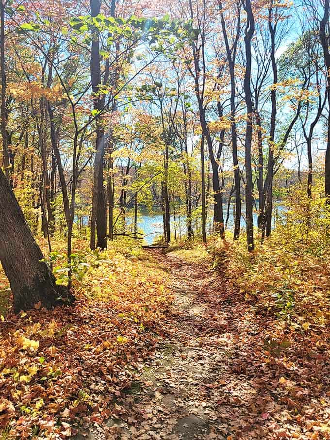 Follow this leaf-strewn path through the maples and you might just forget what century you're in.