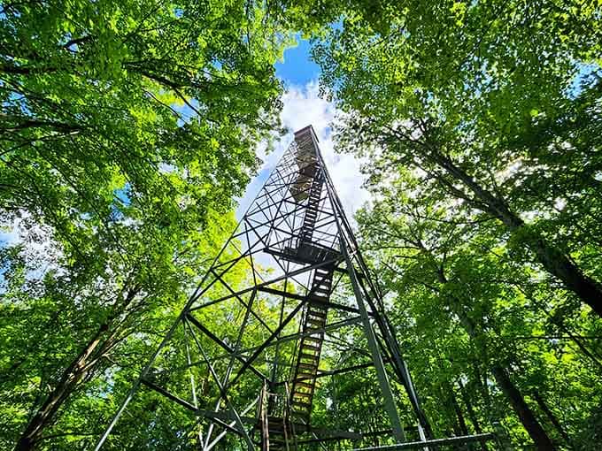 Climb 100 feet for views that'll make your leg workout totally worth it and your Instagram followers insanely jealous.
