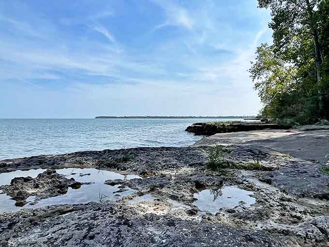 Where limestone meets Lake Erie: The alvar shoreline creates nature's infinity pool with views stretching to the horizon.