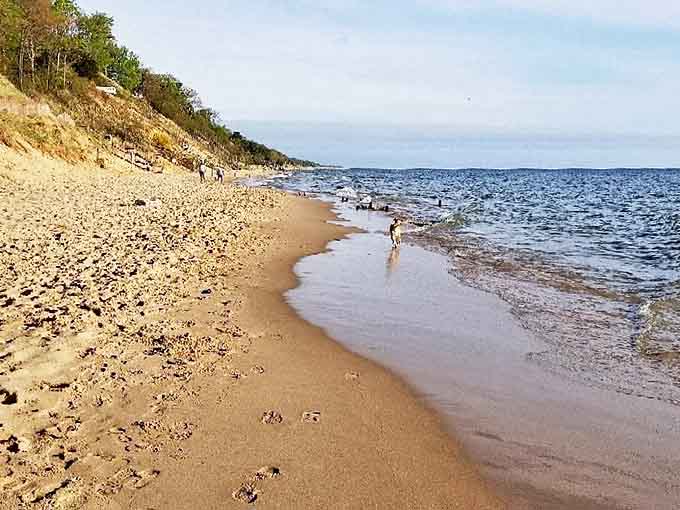 The shoreline curves gracefully into the distance, making you wonder if you accidentally drove to the Caribbean instead of West Olive.