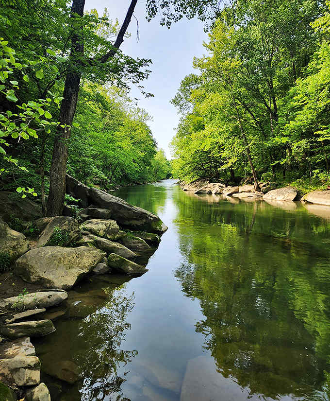 The crystal-clear waters of Honey Run Creek create perfect reflections of the surrounding forest, doubling nature's beauty in one serene view.