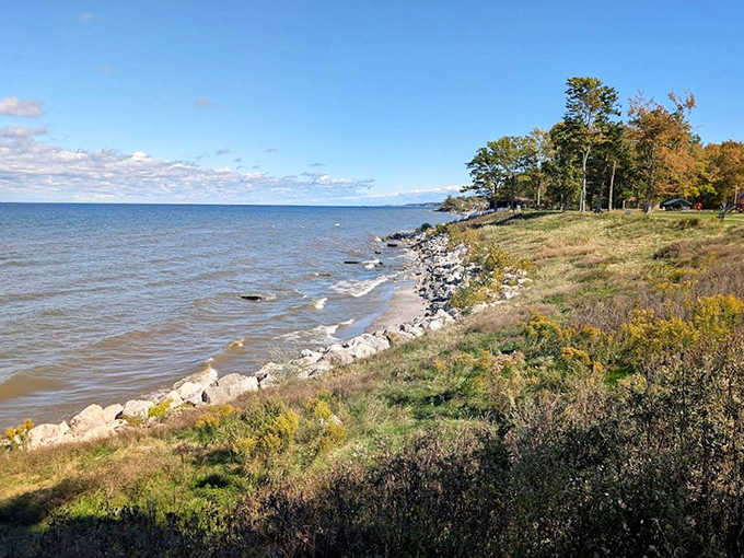 Nature's breakwater: Lake Erie's waves have sculpted this rocky shoreline into a rugged masterpiece that's equal parts barrier and artwork.