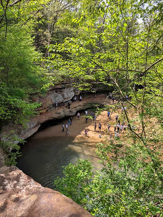 Beyond the fence line, Vermont's natural splendor creates the perfect backdrop for grazing livestock and contemplative visitors alike.